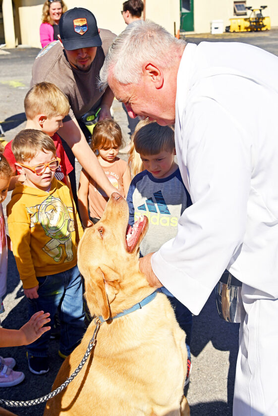 All God’s creatures: Pets receive special blessing for feast day of St ...